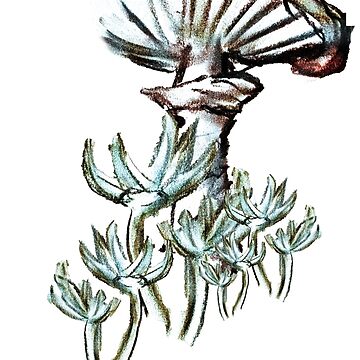 "Amethyst deceiver and Hare's foot inkcap mushrooms, cottagecore ...