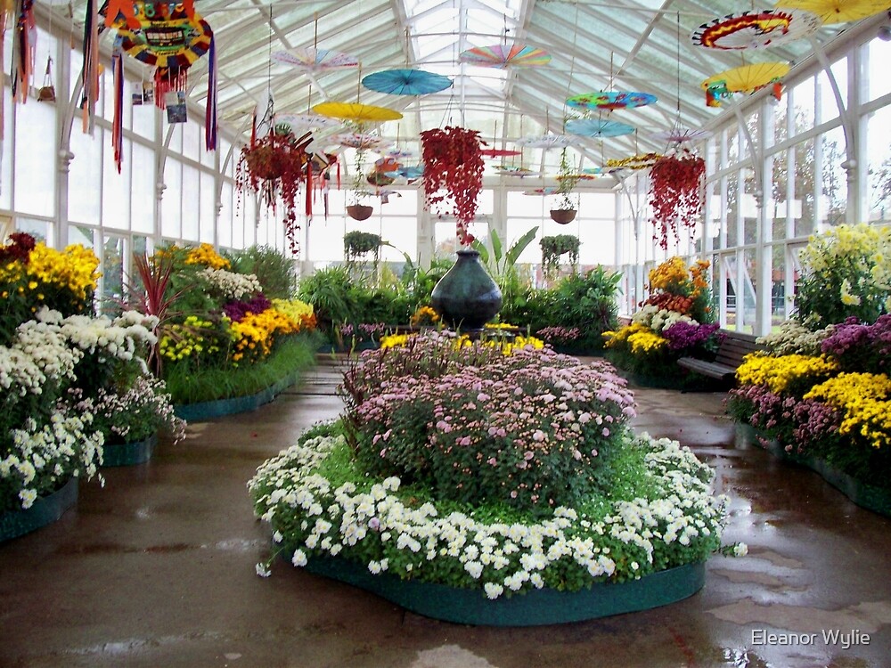 "The Conservatory at Rosalind Park, Bendigo" by Eleanor Wylie | Redbubble