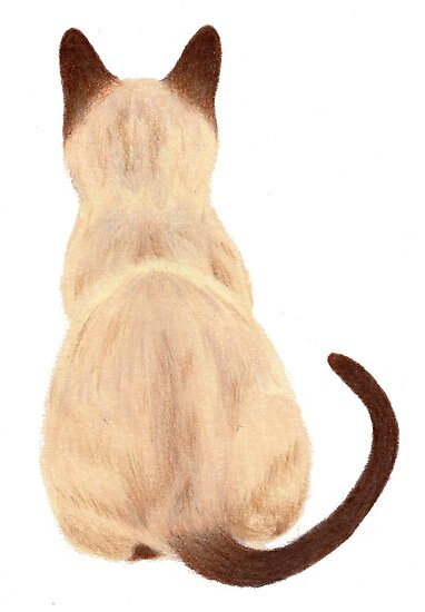 "Siamese Cat Sitting Back View" Posters by lushspiderarts | Redbubble