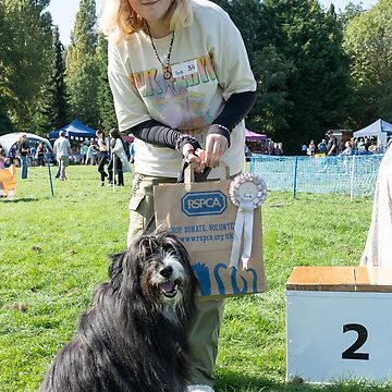 "2nd place Best rescue. Woodside RSPCA dog show, Knighton Park 2023 ...