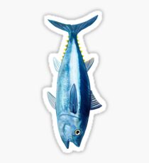 Yellowfin Tuna Stickers | Redbubble