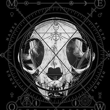 "Cat God Emperor" Essential T-Shirt for Sale by Krobilad | Redbubble