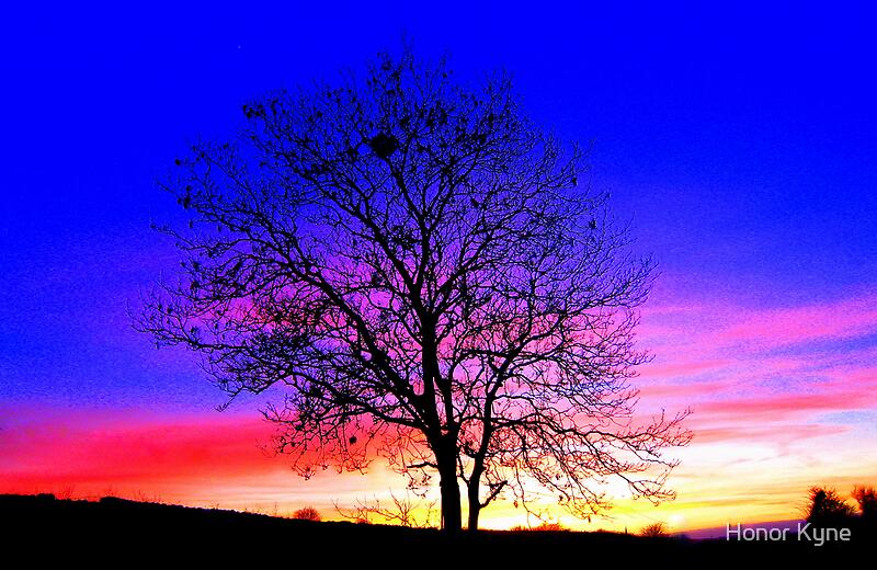 "Complementary Colours in Nature" by Honor Kyne | Redbubble