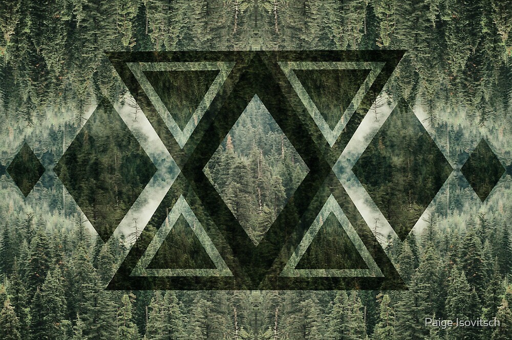 "Geometric Forest" by Paige Isovitsch | Redbubble