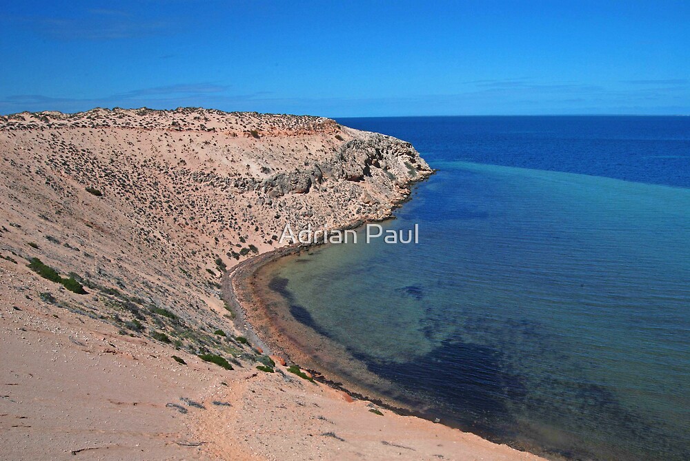 "Eagle Bluff, Shark Bay, Western Australia (Y)" by Adrian Paul | Redbubble