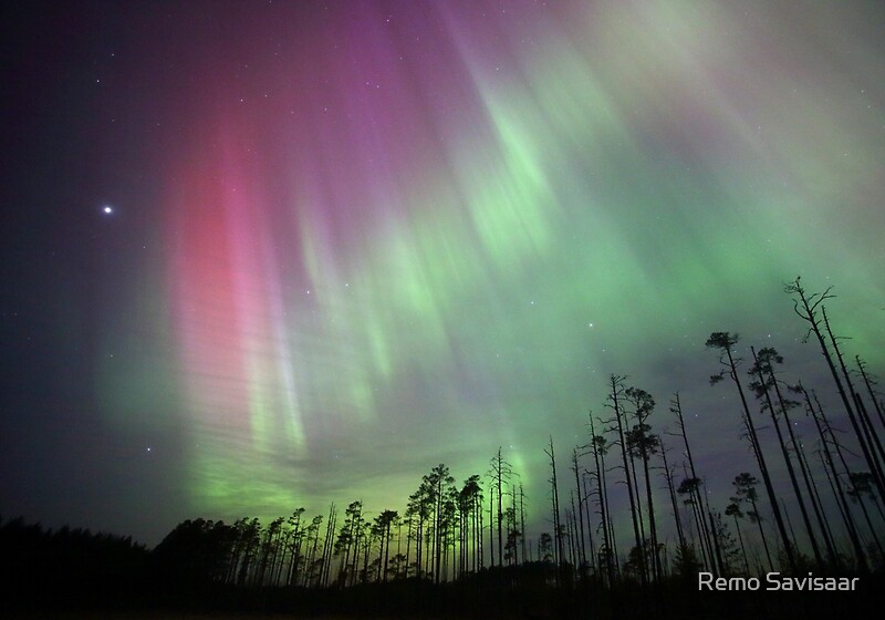 "Northern Lights in the bog" by Remo Savisaar | Redbubble