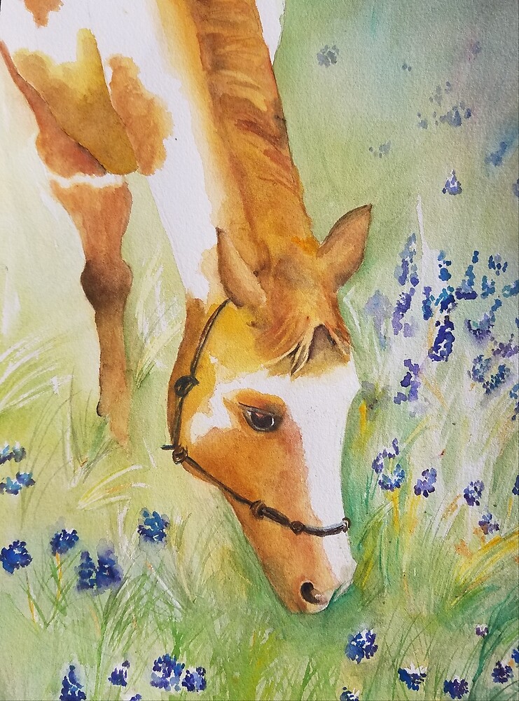 "Horse in Lavender Field" by Nancy Roche | Redbubble