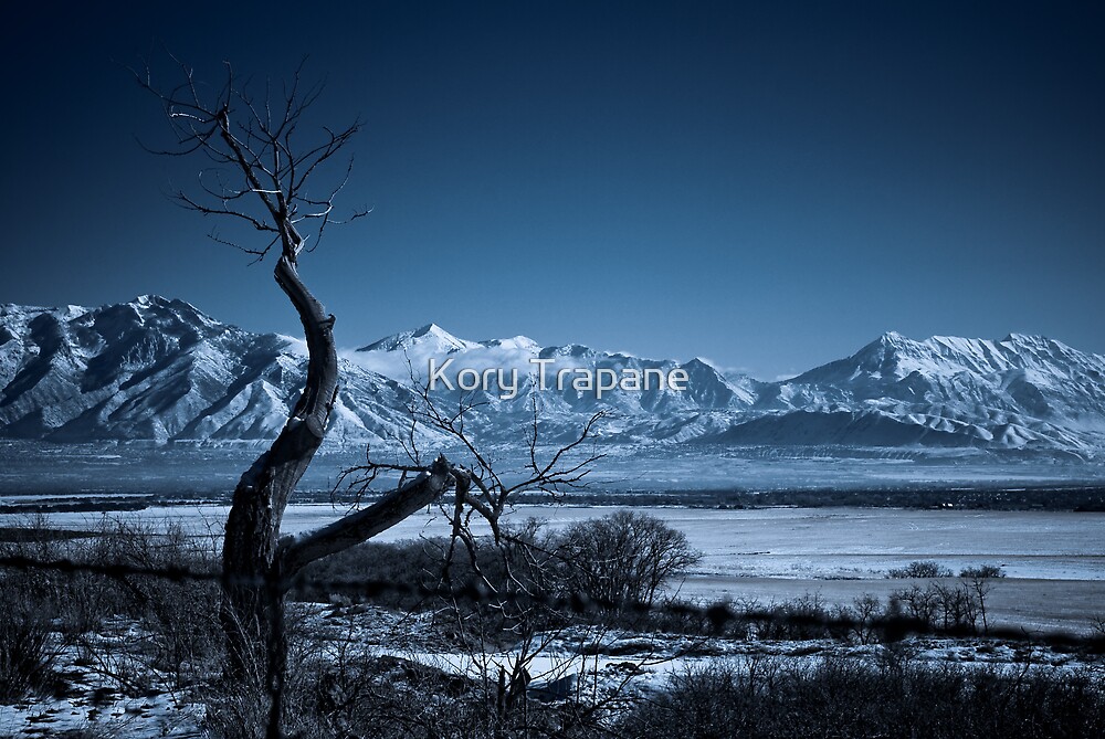 "Winter Desolation" by Kory Trapane | Redbubble