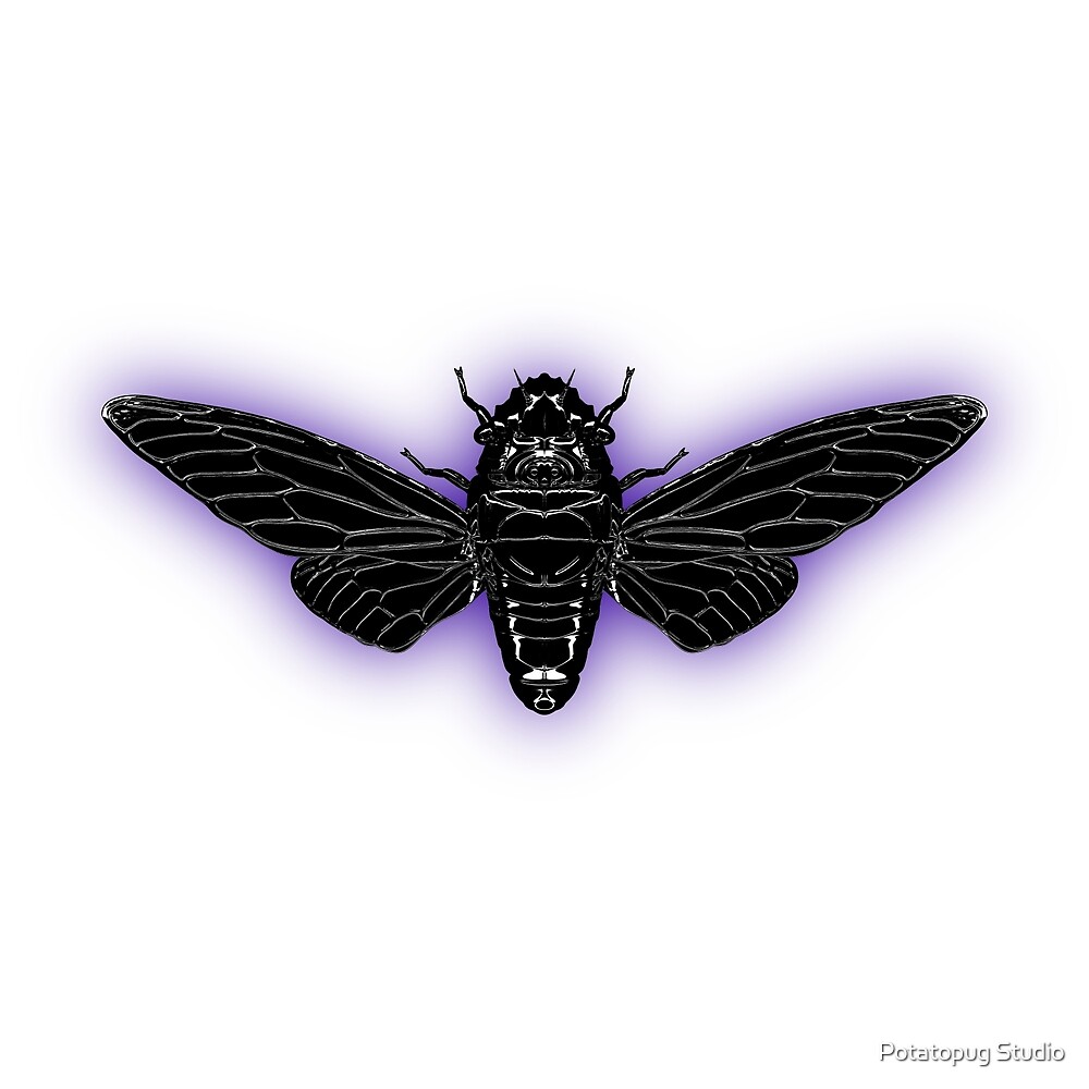 "Cicada" by Potatopug Studio | Redbubble