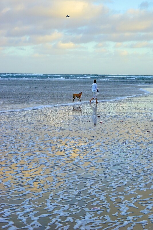"Evening Walk" by Harry Oldmeadow | Redbubble