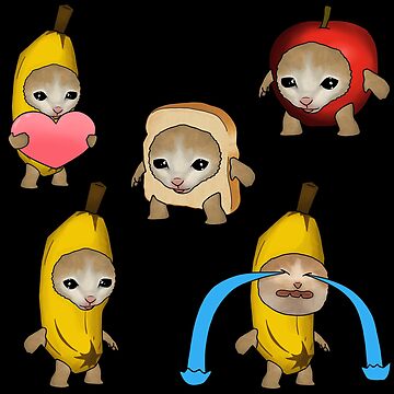 "Banana cat meme variety set" Sticker for Sale by sivelobanova | Redbubble