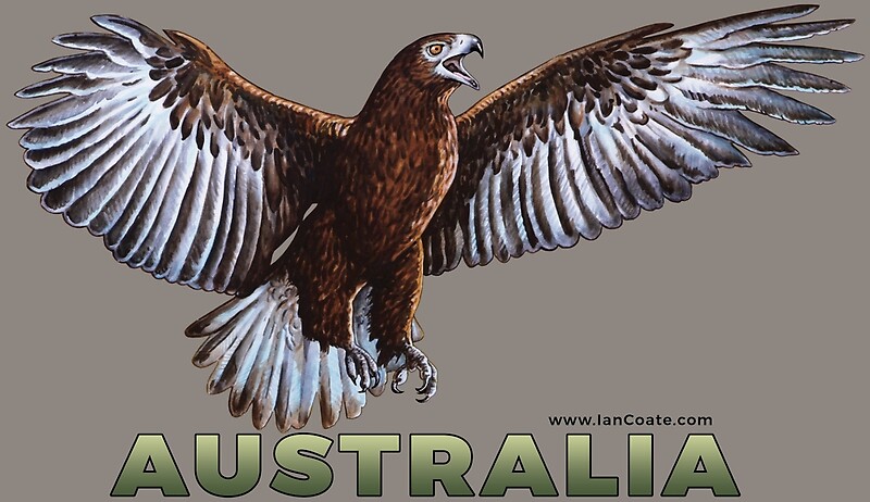 "Australian Eagle" by iancoate | Redbubble