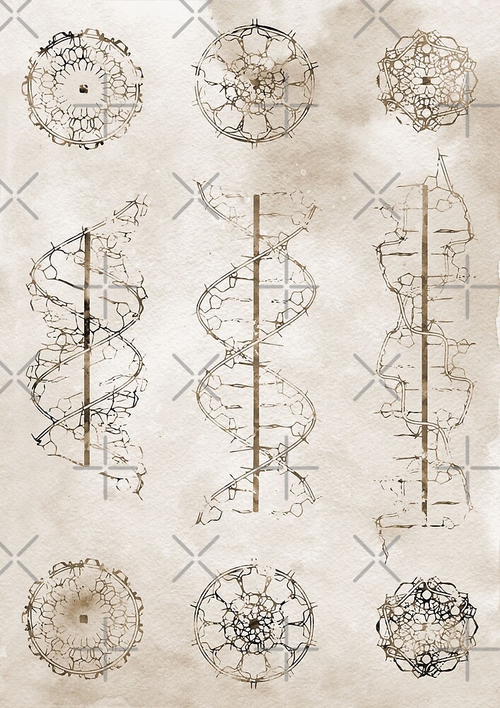 "DNA helix conformation Print A-form B-form and Z-form DNA Genetic Art ...