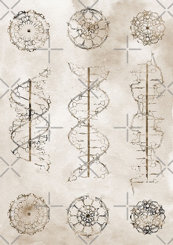 "DNA helix conformation Print A-form B-form and Z-form DNA Genetic Art ...