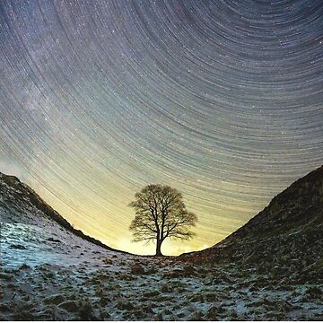 "Revolving Sycamore Gap Art " Spiral Notebook for Sale by Harsh ...