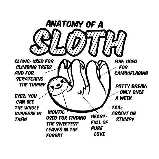 "Anatomy of a Sloth" Poster by radvas | Redbubble