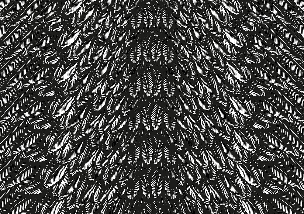 "Feather Pattern No. 2 | Vintage Feathers | Black and White | Bird ...