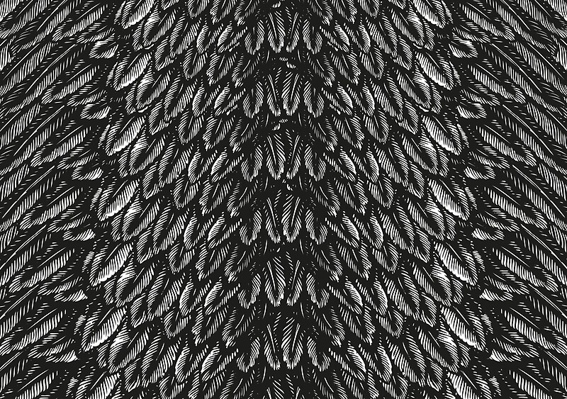"Feather Pattern No. 2 | Vintage Feathers | Black and White | Bird ...