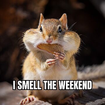 "I smell the weekend" Sticker for Sale by GasconyPassion | Redbubble