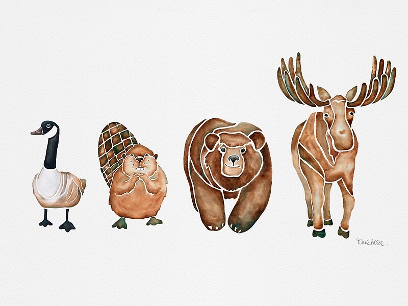 "Canadian Crew | Animals Watercolor Painting" by BlueHazeStudio | Redbubble