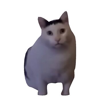 "Huh Cat Meme" Sticker for Sale by savrh | Redbubble