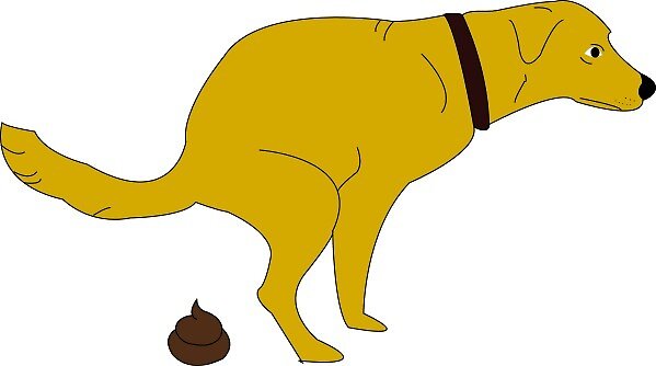 "Poopy Dog" by Yeti-yak | Redbubble