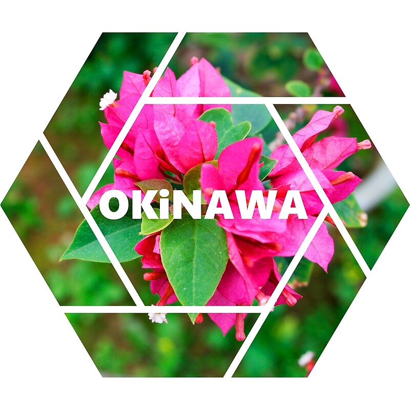 "Okinawa Graphic" by ShiroiTanpopo | Redbubble