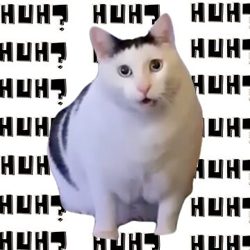 "Huh? Cat" Sticker for Sale by Design-Log-Z | Redbubble