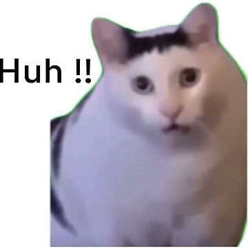 "huh cat meme viral huh? meme" Sticker for Sale by joy4shirt | Redbubble