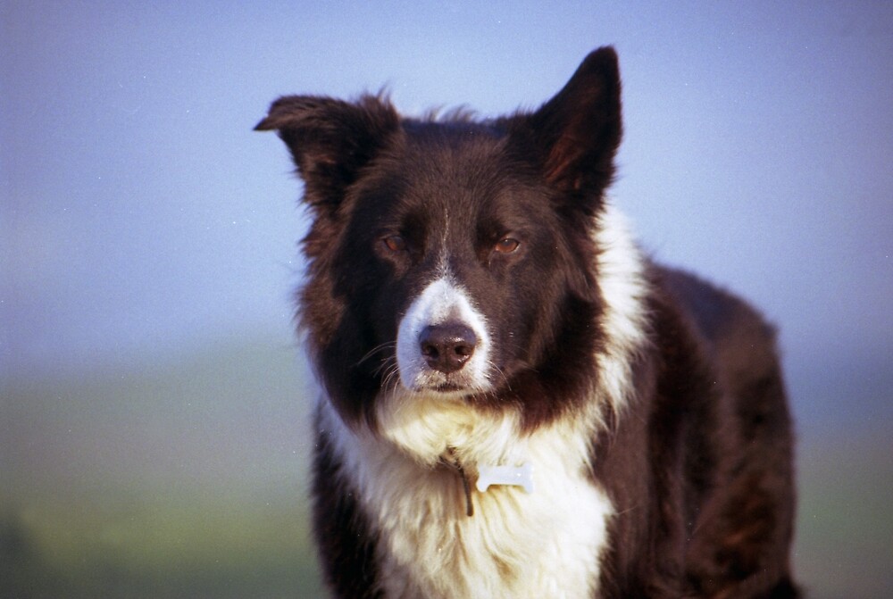 "Twentieth Century Boy" by Michael Haslam | Redbubble