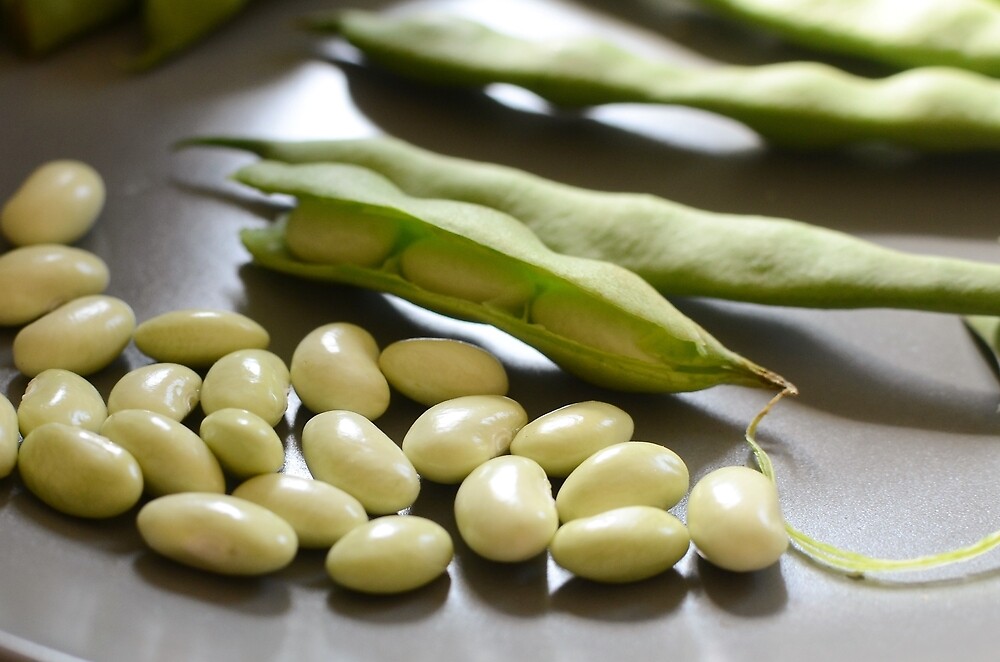 "Green Shell Beans" by Patrincia | Redbubble