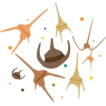 "Dinoflagellates art, Ceratium, Phytoplankton , Algae vector ...