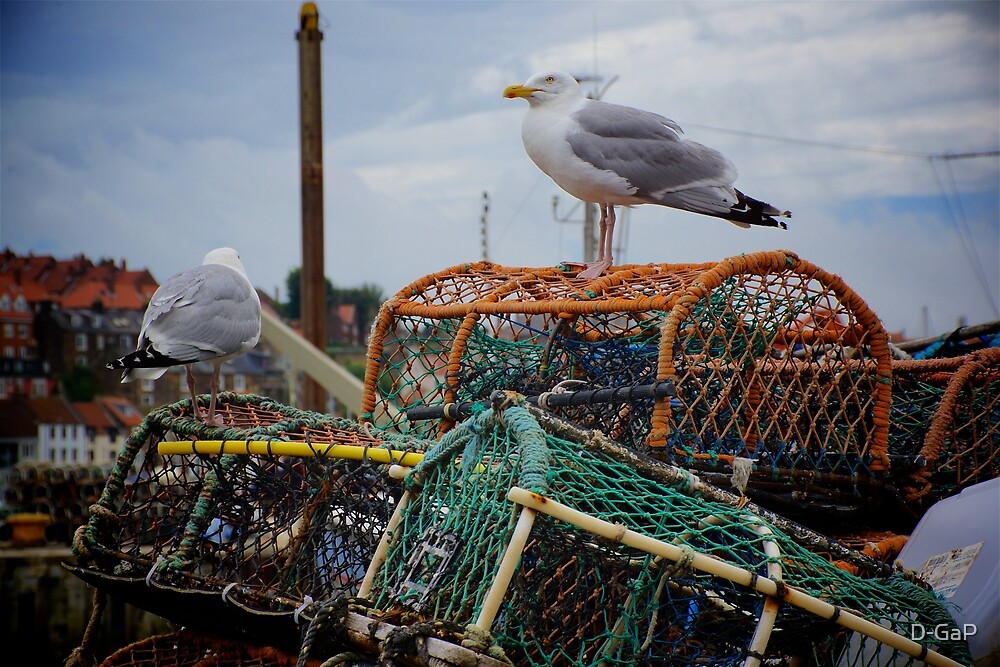 "The Cray Pots " by D-GaP | Redbubble