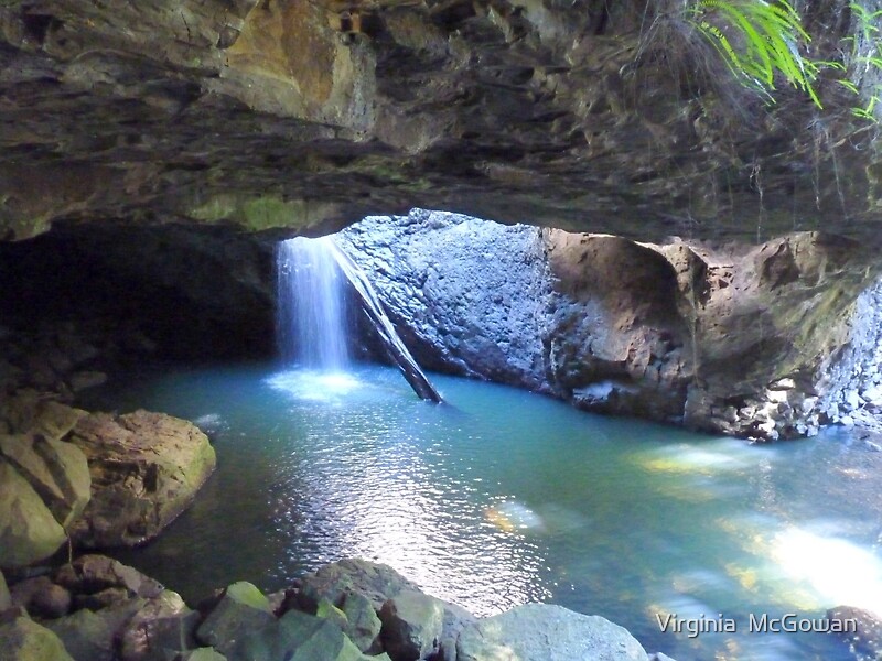 "Natural Arch ,Natural Bridge , Springbrook forest via Numinbah " by ...