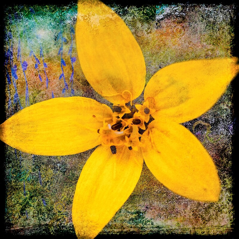 "Yellow #22" by Greg Westfall | Redbubble