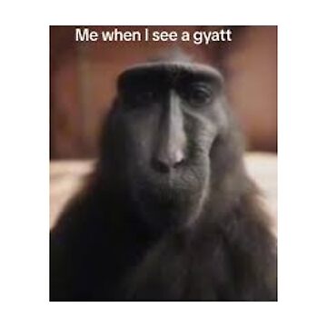 "Me when i see gyatt" Essential T-Shirt for Sale by TheDressShoppe ...