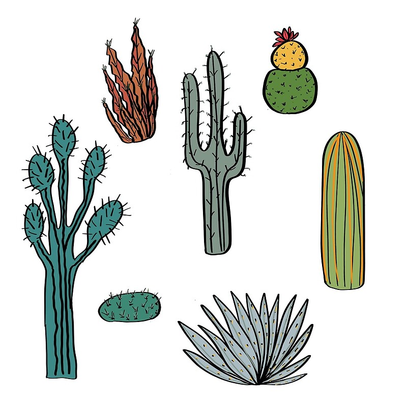 "Desert Cactus Plants Agave Aloe" by podartist | Redbubble