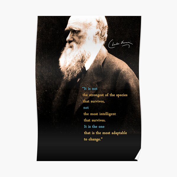 Darwin Posters | Redbubble