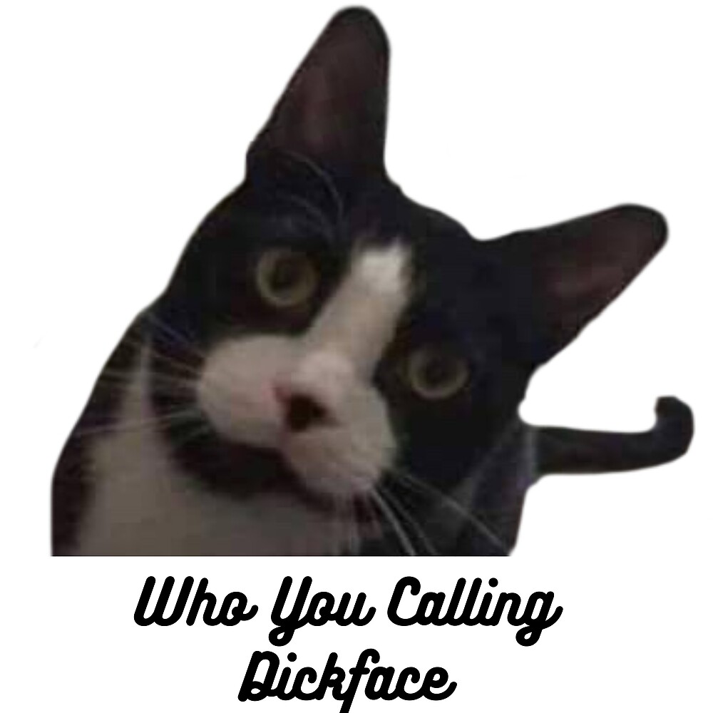 "Angry Cat - Funny Gifts For Cat Lovers" by websaver | Redbubble