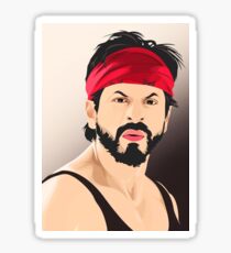 Shah Rukh Khan Stickers | Redbubble