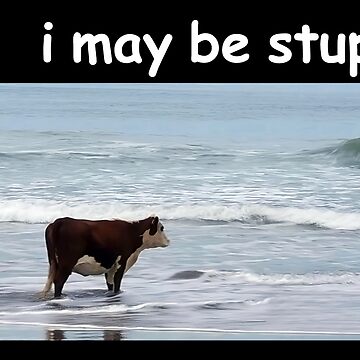 "I May Be Stupid Cow Beach Alone Meme " Essential T-Shirt for Sale by ...