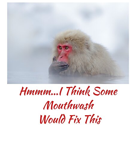 "Hmmm....I Think Some Mouthwash Would Fix This Monkey" Poster by ...