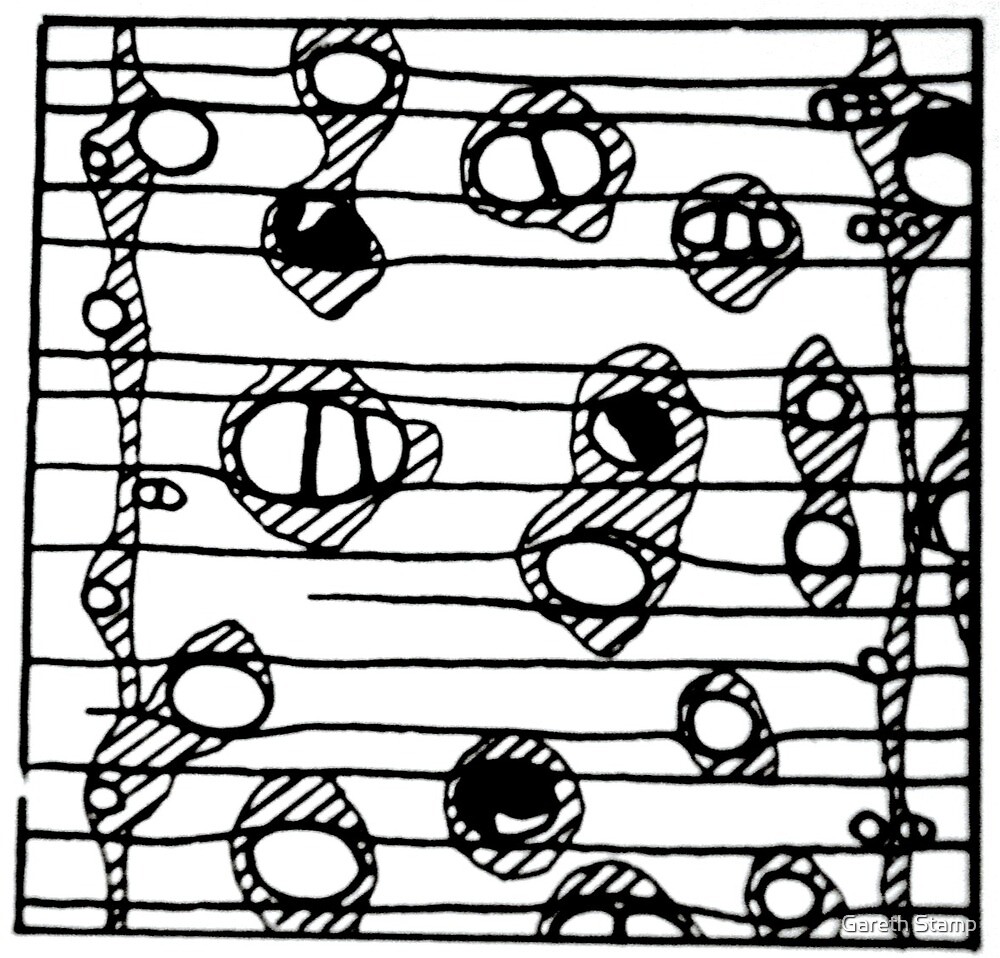 "cell 5 - looking through the microscope at plant cells" by Gareth ...