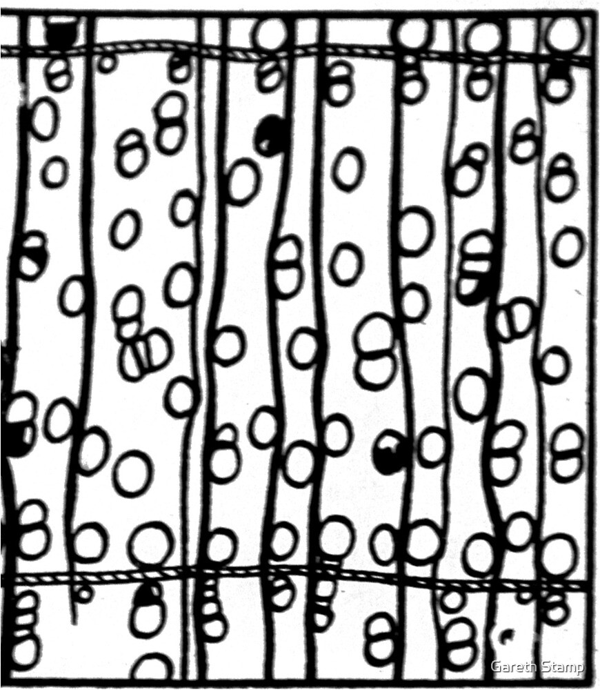 "Cell 7 - looking at plant cells through the micrscope" by Gareth Stamp ...
