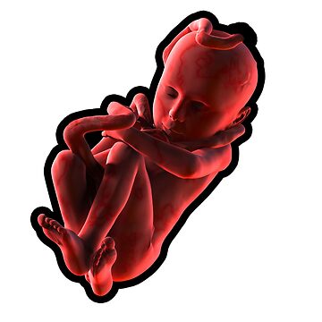 "Fetus" Sticker for Sale by GiovanniCancemi | Redbubble