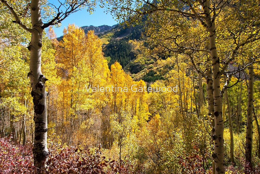 "Autumn Forest" by Valentina Gatewood | Redbubble