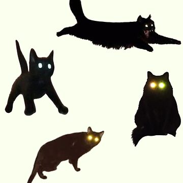 "black void cursed cat meme (set 1) pack" Sticker for Sale by mooneko ...