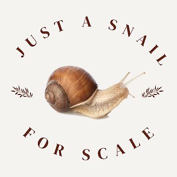 "Just a Snail For Scale Logo" Sticker for Sale by Just A Snail For ...