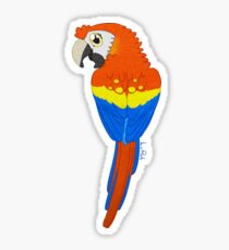 Bird: Stickers | Redbubble