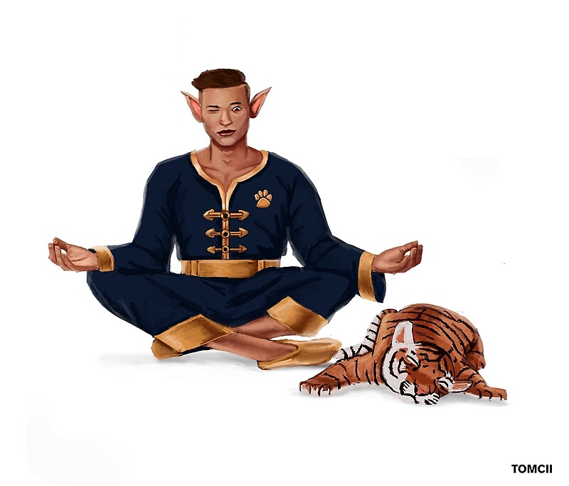 "Karate Elf With Tiger" by tomcii | Redbubble
